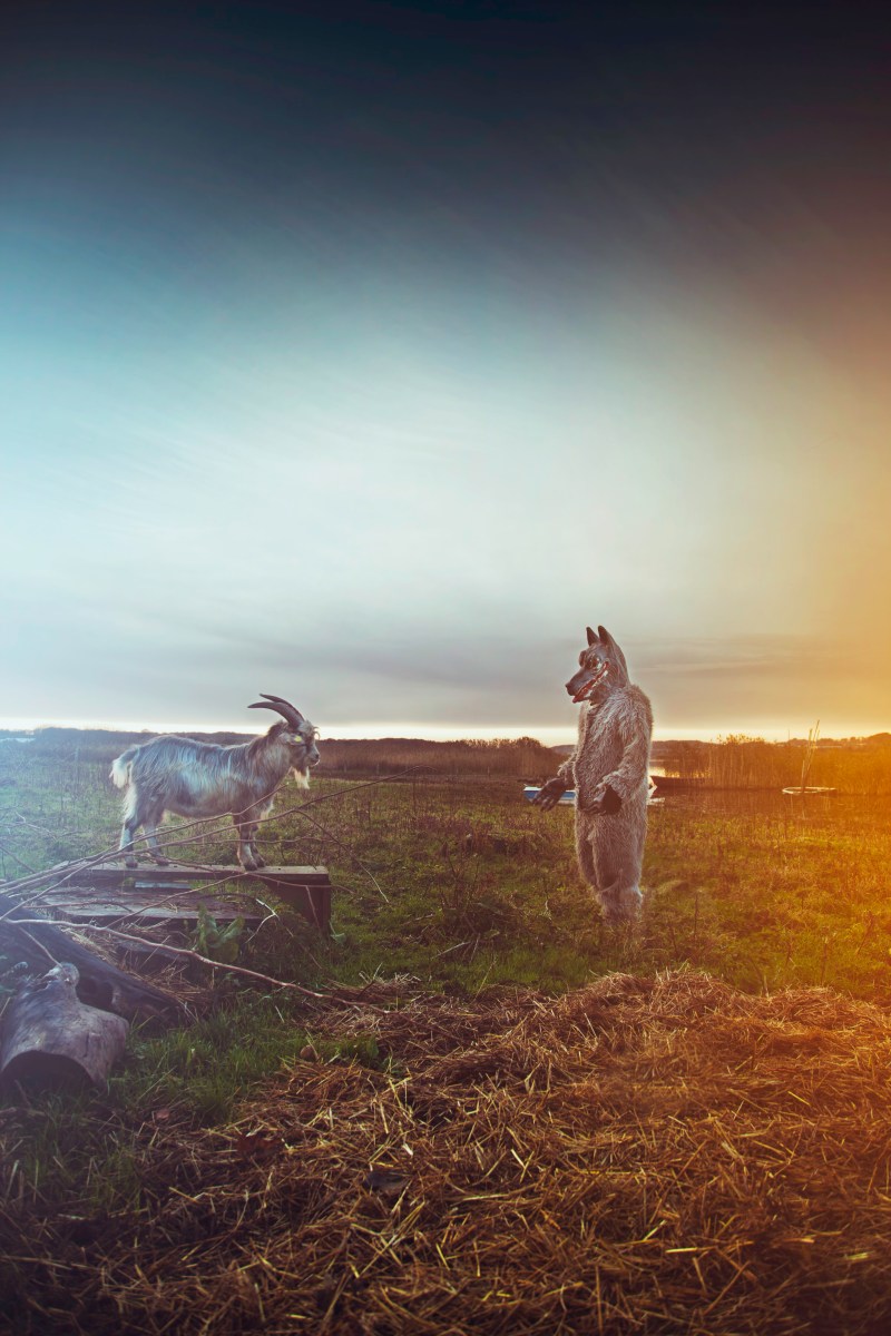 DAD ROCKS! – les disques normal